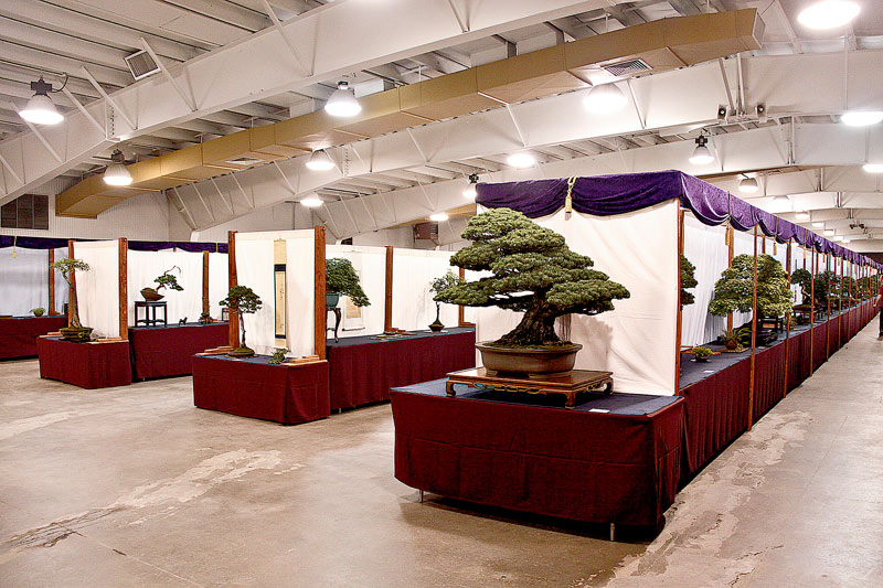 displa11 - U.S. National Bonsai Exhibition